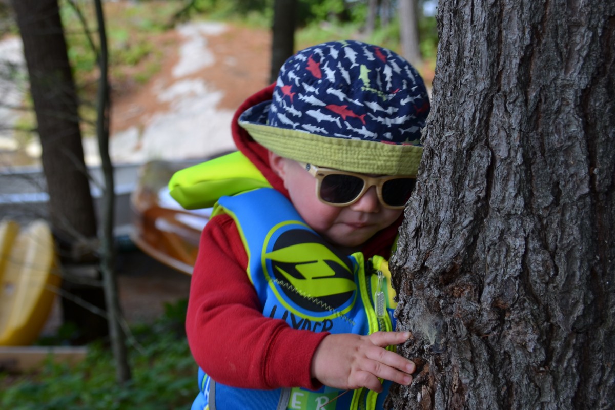 Starting the tree hugging early.....love the outdoors!!! - Paddle In ...